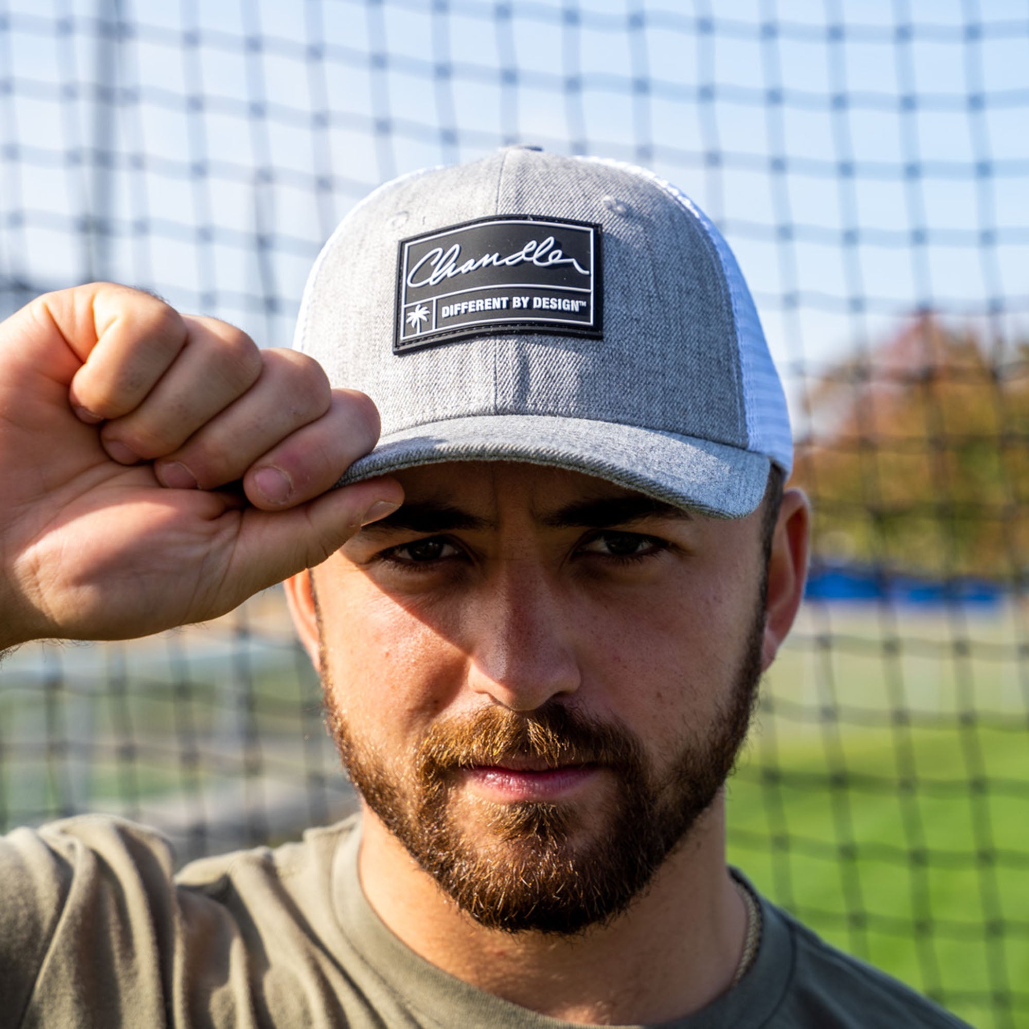Chandler Baseball Logo